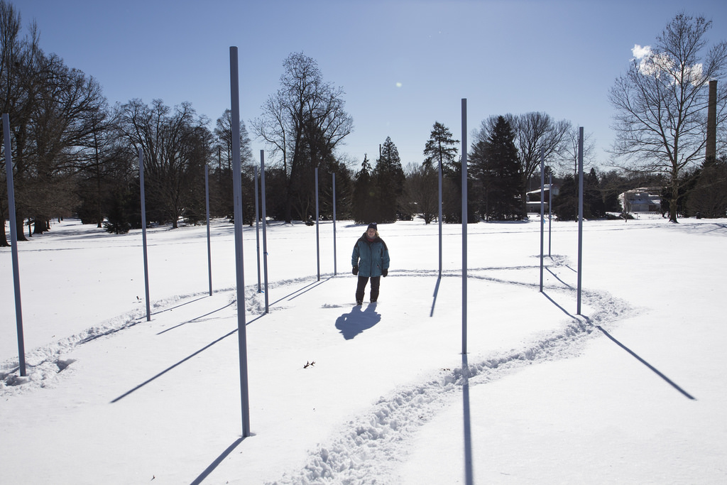 Stacy Levy's Crum Creek Meander Echoes Nature's Patterns - The Phoenix