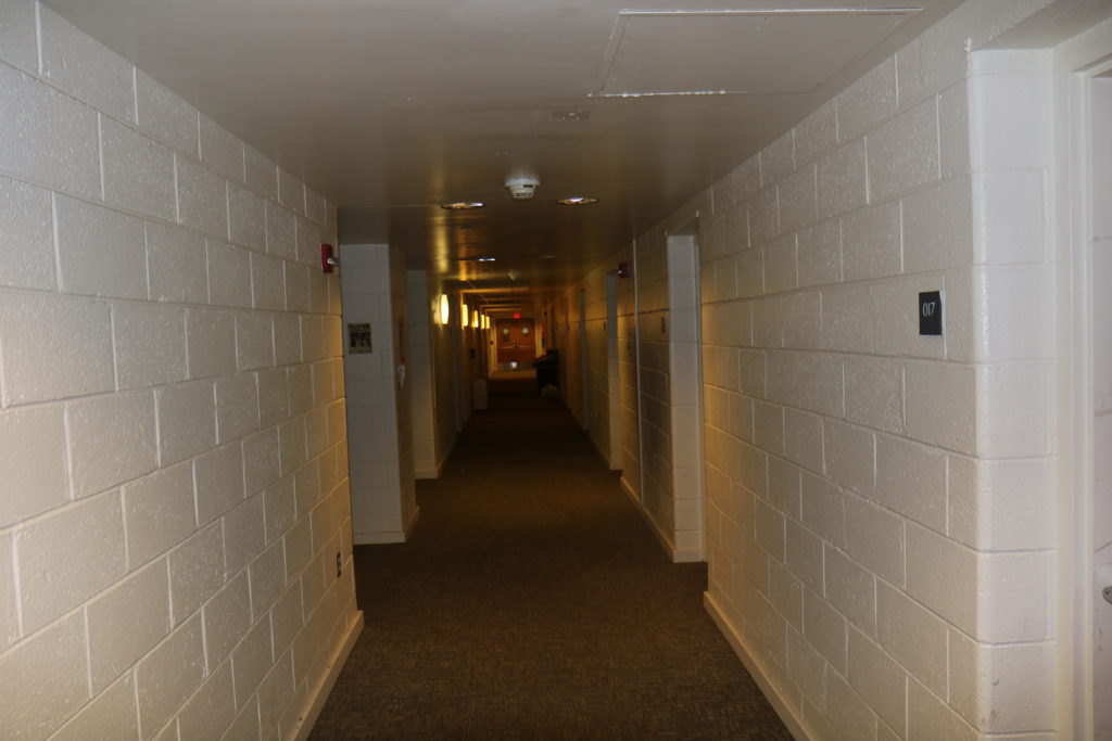 The Rats of Willets Basement - The Phoenix