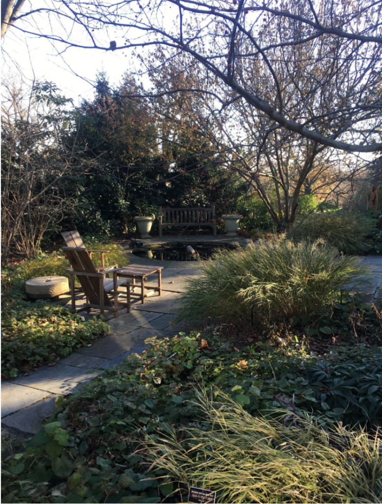 Top Three Most Comforting Places on Campus - The Phoenix