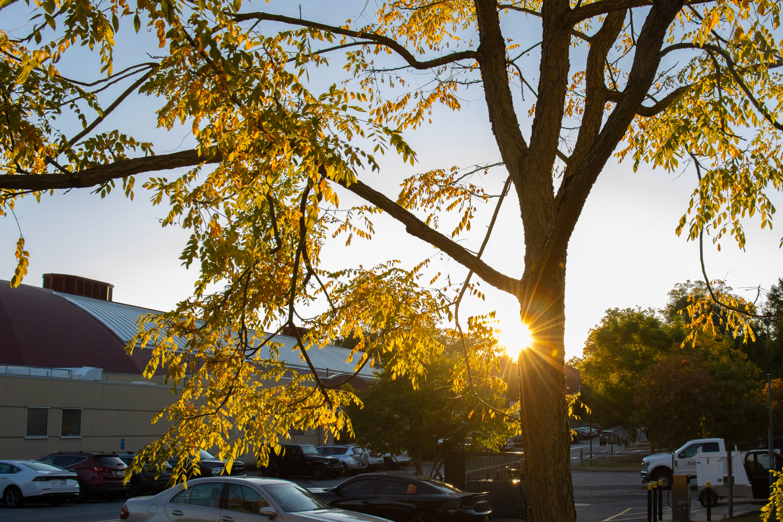 An End of Semester Reflection from the Opinions Editors - The Phoenix
